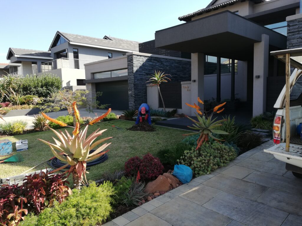 Gallery | Toadstool Gardens